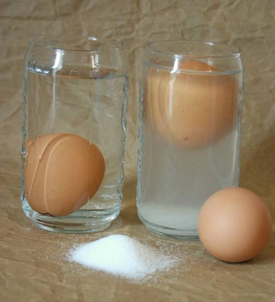 Egg Float - Learning Activities - Fun For Kids
