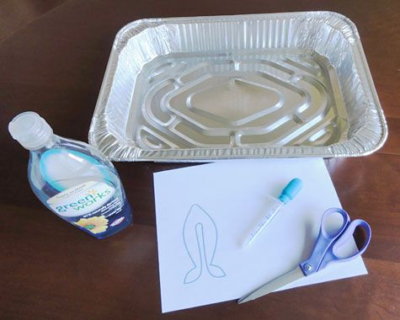 Speeding Fish Experiment Science Experiments Kids Activities