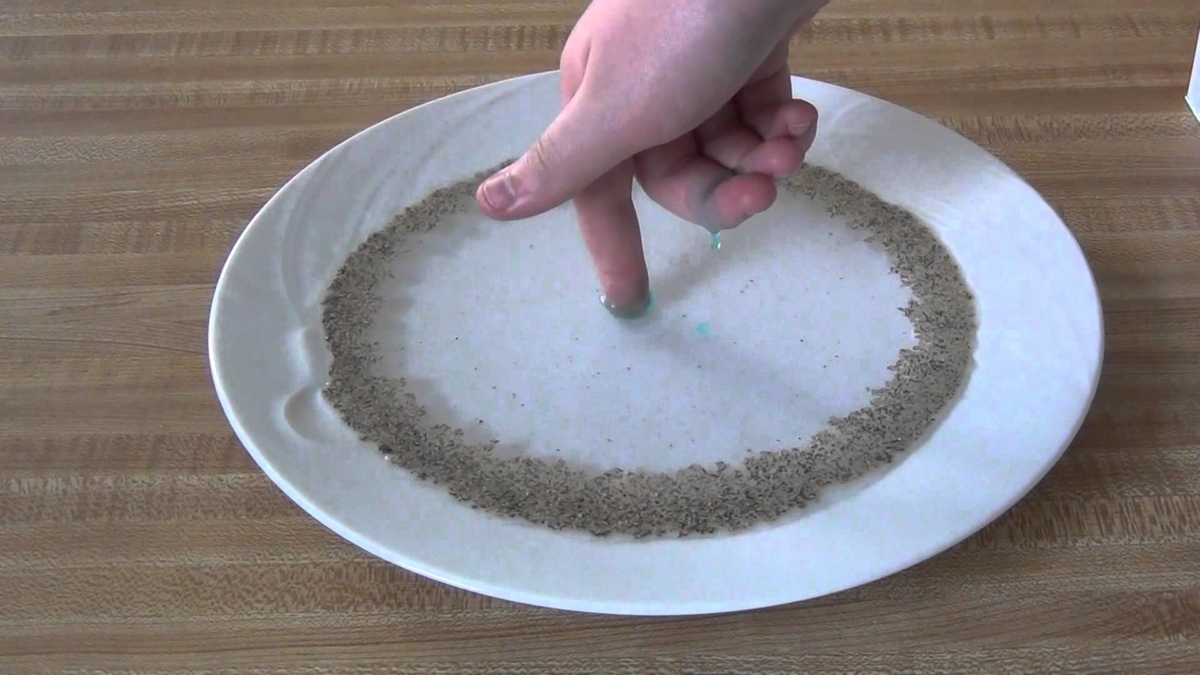 Racing Pepper Experiment Science Experiments - Kids Activities