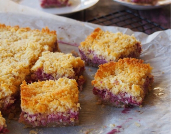 Coconut jam slice