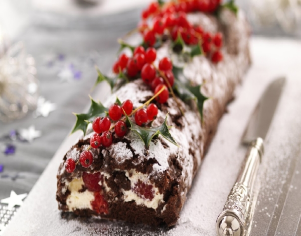 Chocolate raspberry yule log
