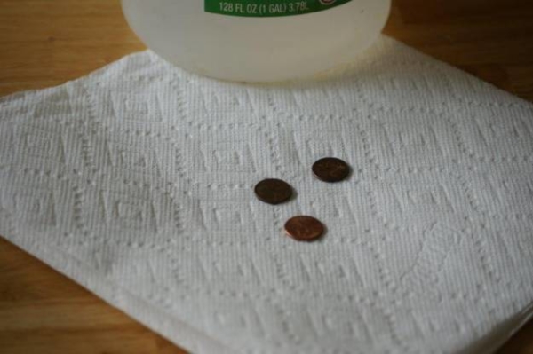 Green Coin Experiment - Activities For Kids