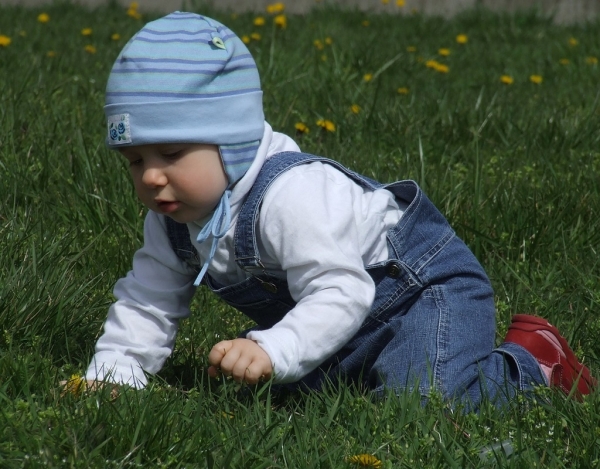 When will baby start crawling | Baby Development | Kidspot NZ