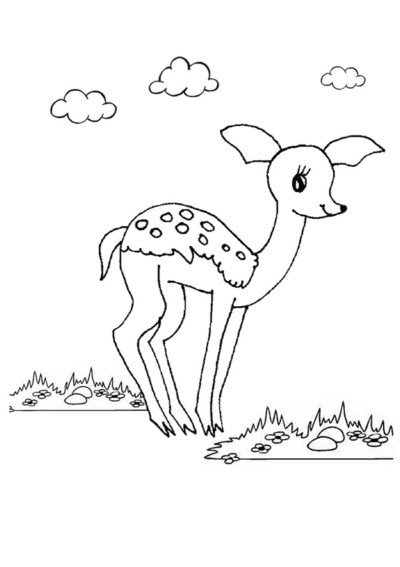 Deer colouring page | Activities | Kidspot