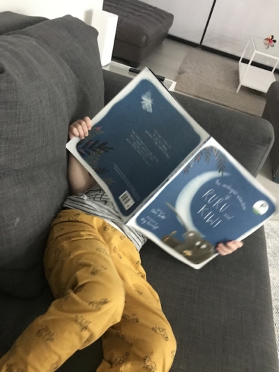 The Midnight Adventures of Ruru and Kiwi | Book Review | Family Time ...