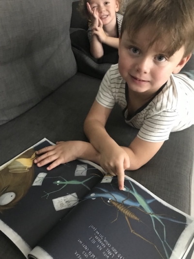 The Midnight Adventures of Ruru and Kiwi | Book Review | Family Time ...