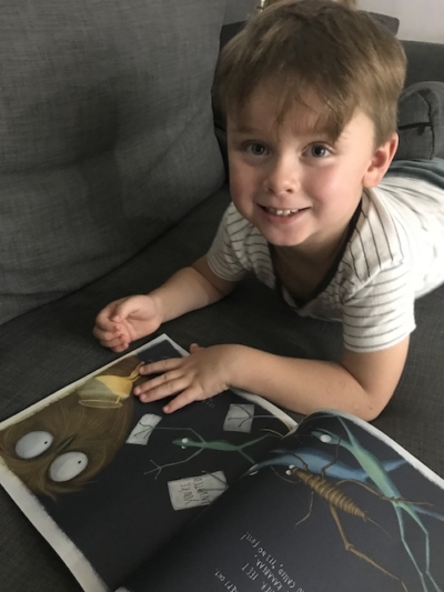 The Midnight Adventures of Ruru and Kiwi | Book Review | Family Time ...