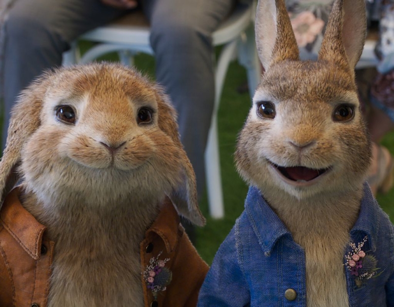 Eleven Fingers Trick - Magic Tricks - Kids Activities