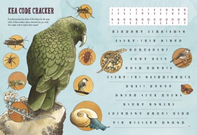 Amazing Aotearoa Activity Book | Book Review | Family Time | Kidspot