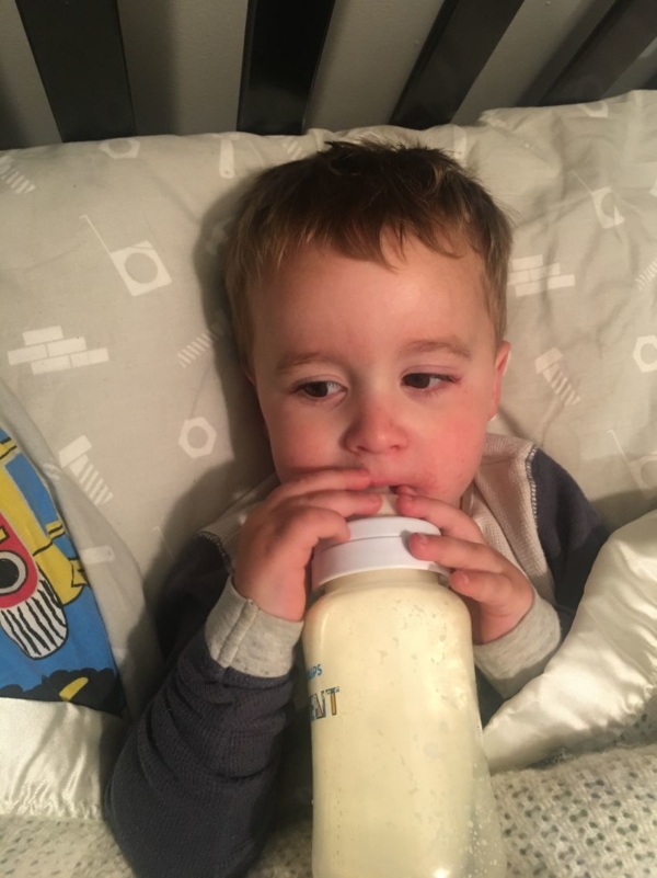 Anmum PediaPro 3 Toddler Milk | Trial | Kidspot
