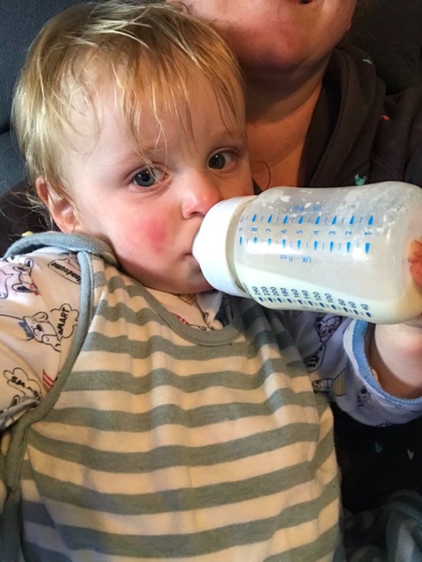 Anmum PediaPro 3 Toddler Milk | Trial | Kidspot