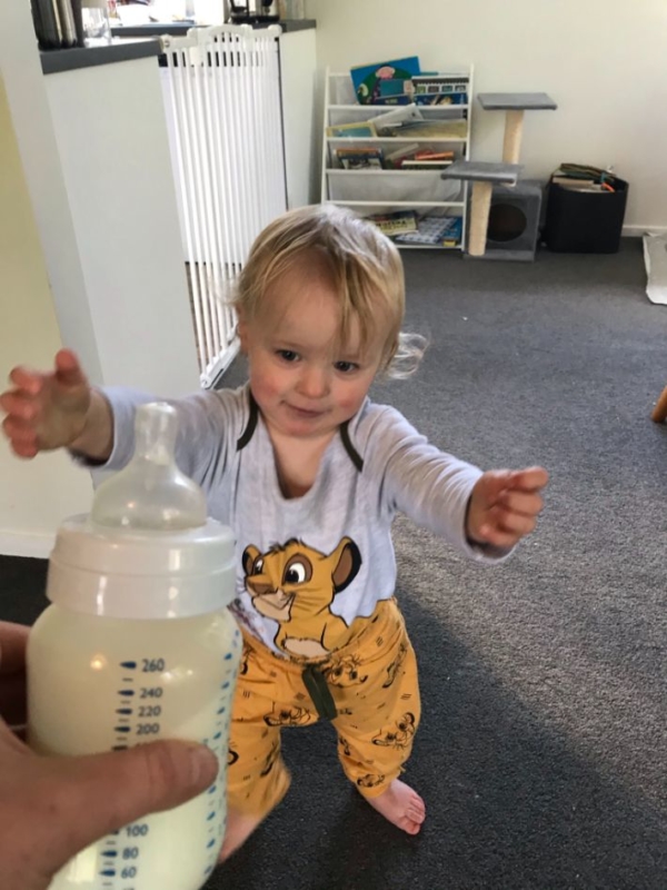 Anmum PediaPro 3 Toddler Milk | Trial | Kidspot