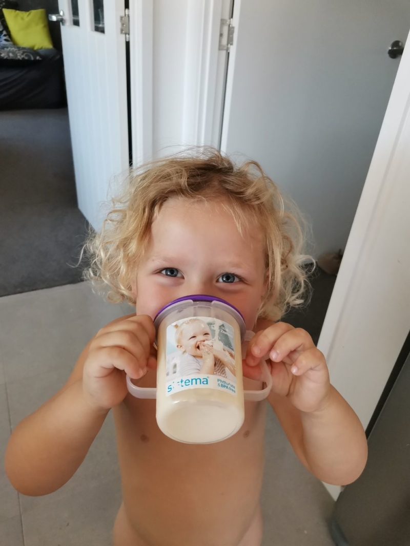 Anmum PediaPro 3 Toddler Milk | Trial | Kidspot