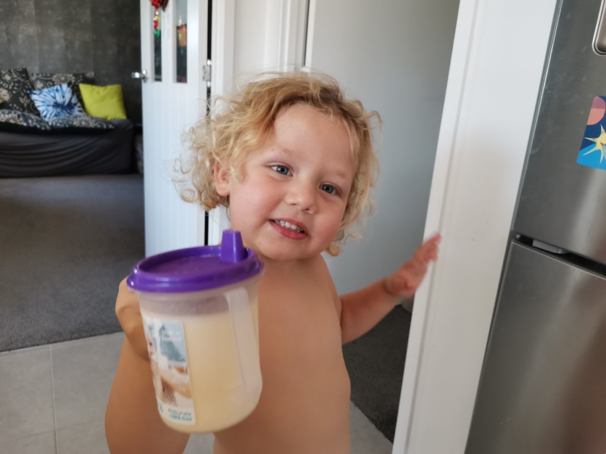 Anmum PediaPro 3 Toddler Milk | Trial | Kidspot