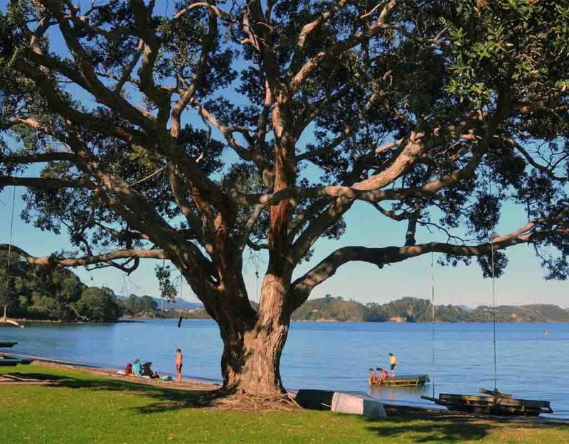 Top 10 Family Activiites in The Coromandel | Family-time | Kidspot