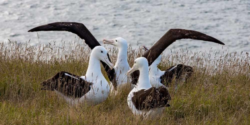 Made To Share Nature Experiences In Aotearoa | Explore New Zealand ...