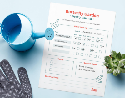 Download the Butterfly Garden Activities | Activities | Kidspot