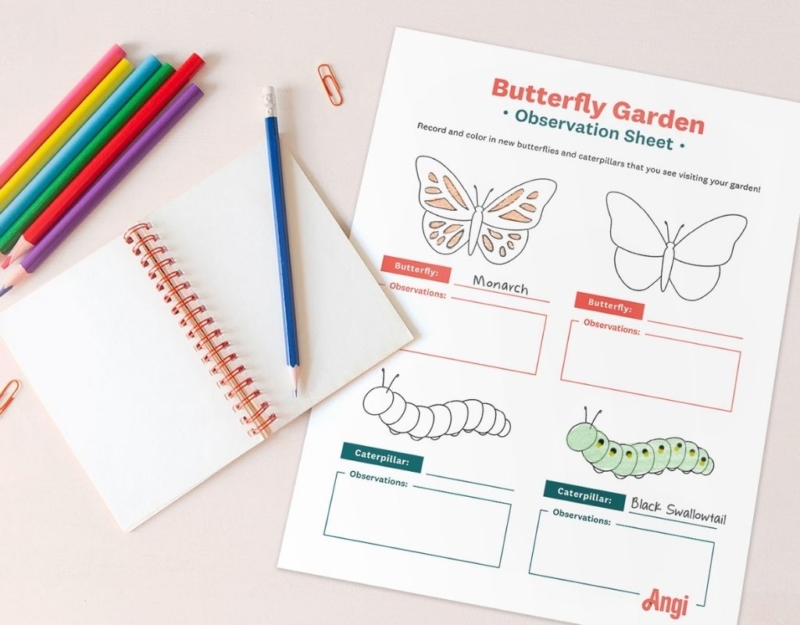 Butterfly Garden Activities for Kids | Activities | Kidspot