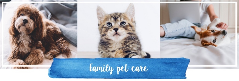 Family Pet Care | Nutrition, Play, Kids | Family Time | Kidspot
