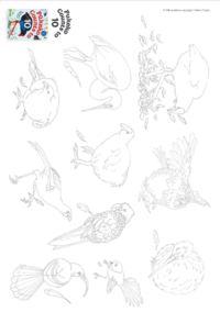 Pukeko Counts colouring page | Kidspot